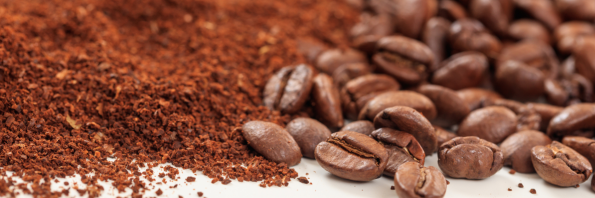 Daymaker Coffee Roasters Inc.